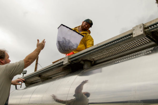 President Trump is attacking California’s salmon fishing industry and ...