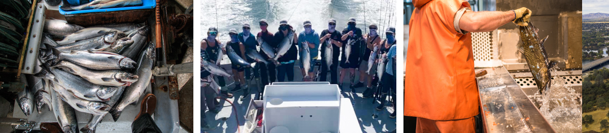 Membership Raffle - Golden State Salmon Association