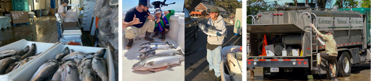 Membership Raffle - Golden State Salmon Association