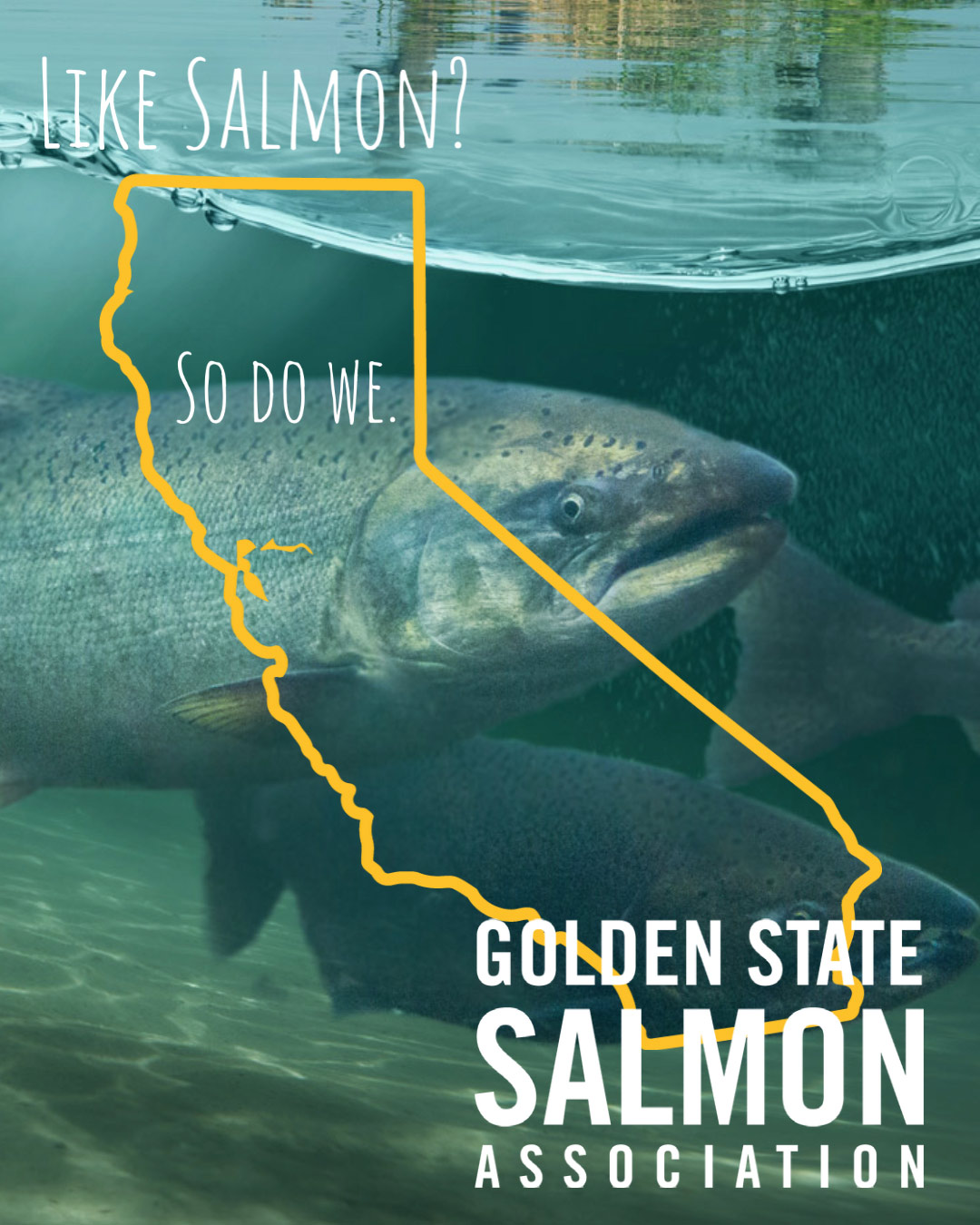 Membership Raffle - Golden State Salmon Association