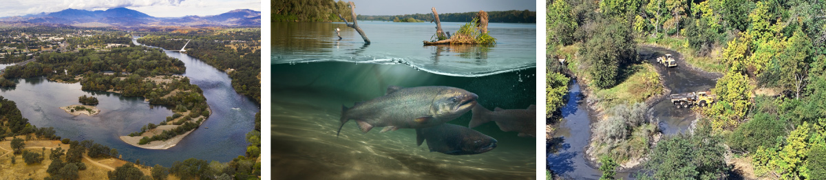 Membership Raffle - Golden State Salmon Association